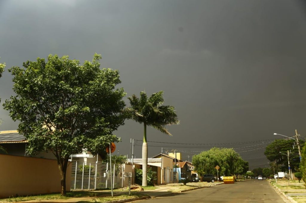 Confira: