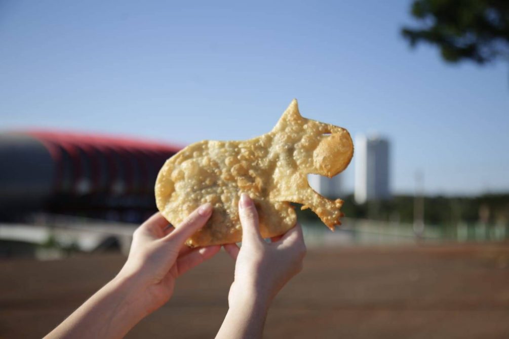 Paulista se apaixona por Campo Grande a ponto de colocar capivaras no ...