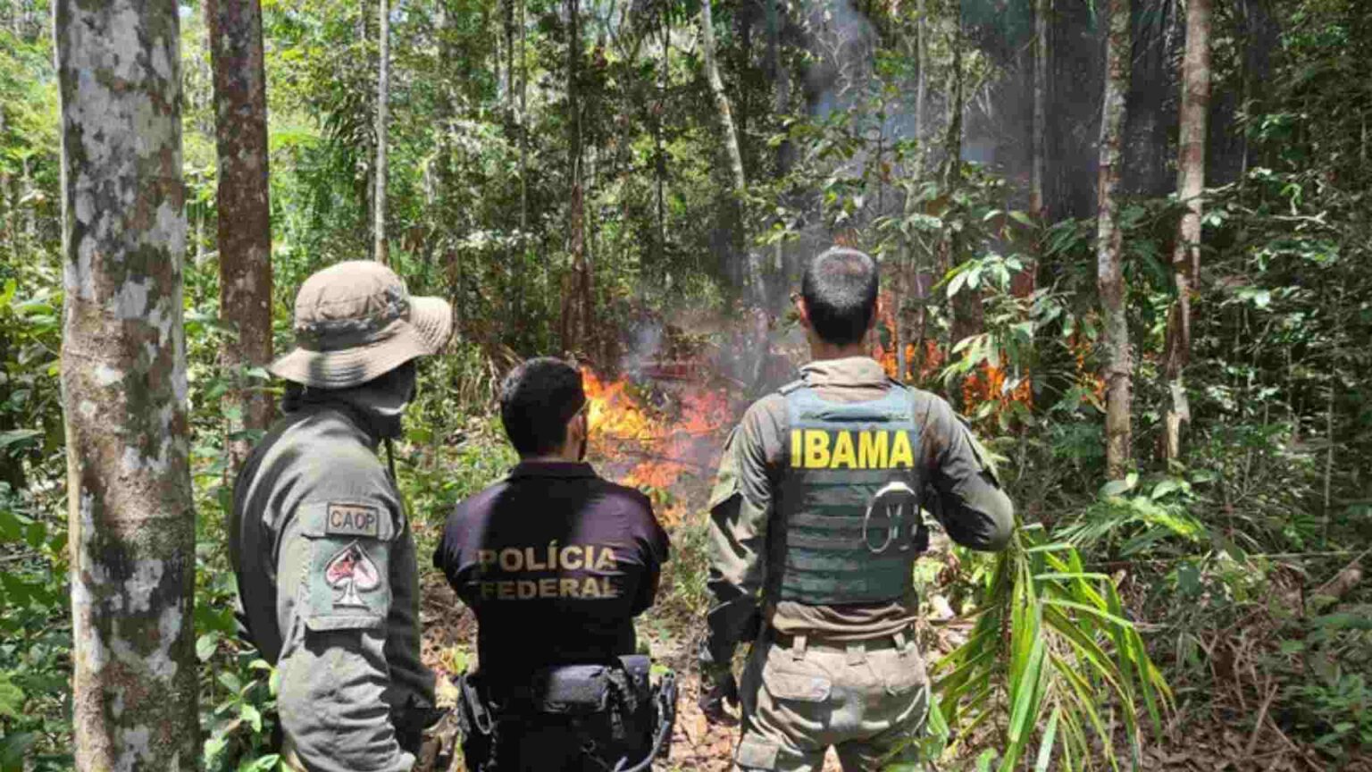 PF volta à Terra Yanomami e destrói estrutura do garimpo ilegal
