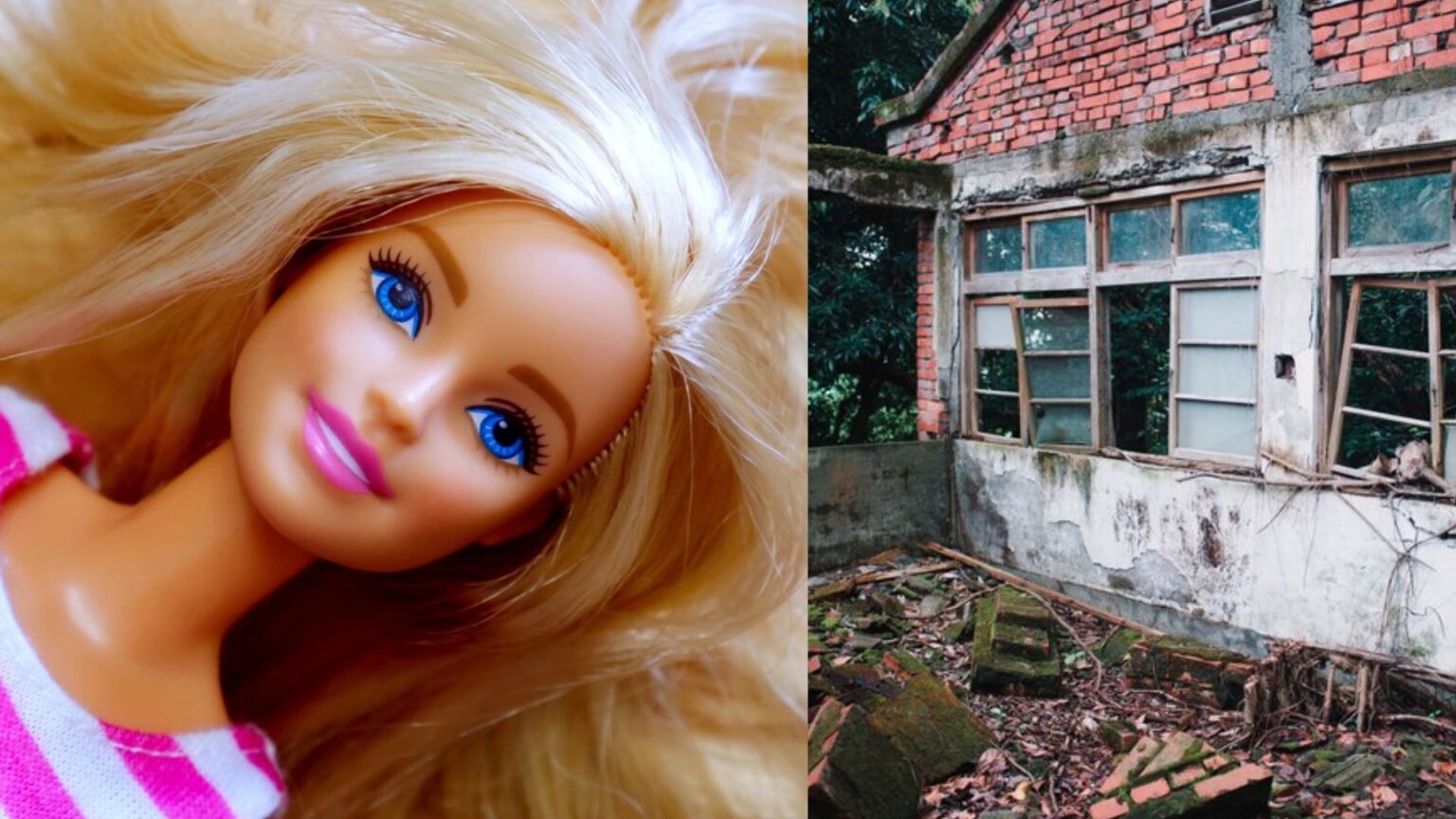 Mãe sai da maternidade após dar à luz e descobre que Barbie de MS ...