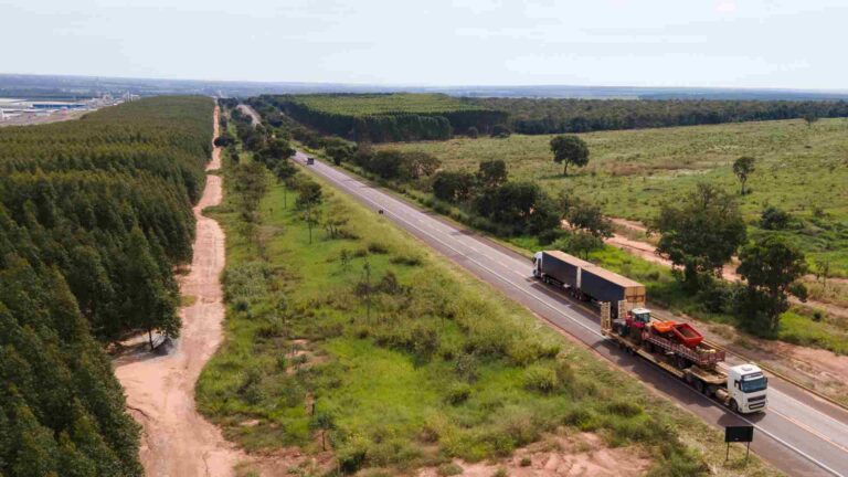 BR-262 é uma das rodovias que integram a Rota da Celulose. (Foto ...