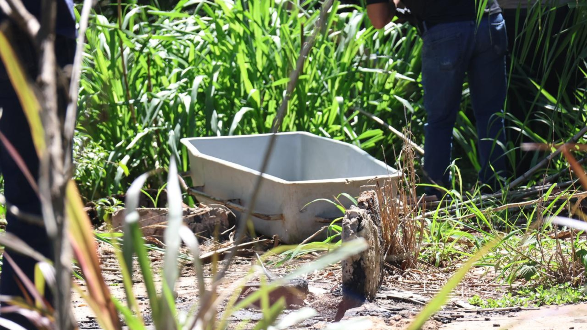 Quatro estariam envolvidos em morte de ‘Alemão’ encontrado enterrado em ...
