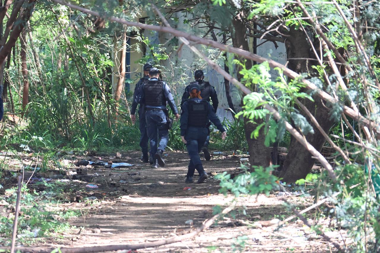 Corpo em decomposição é encontrado enterrado em cova rasa no Mário ...