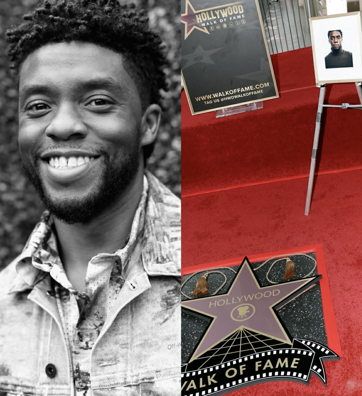 Chadwick Boseman recebe estrela póstuma na Calçada da Fama