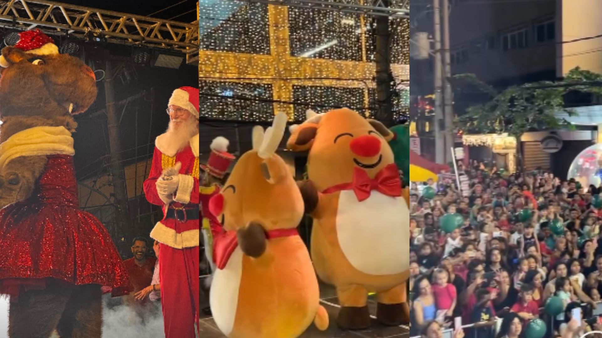 Eles voltaram: Capi Noel e família Rena levam multidão ao 1º dia do ...