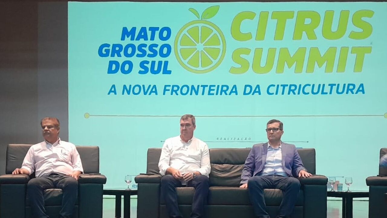 Acabar com 'dama-da-noite' vai prevenir pragas em plantações de ...