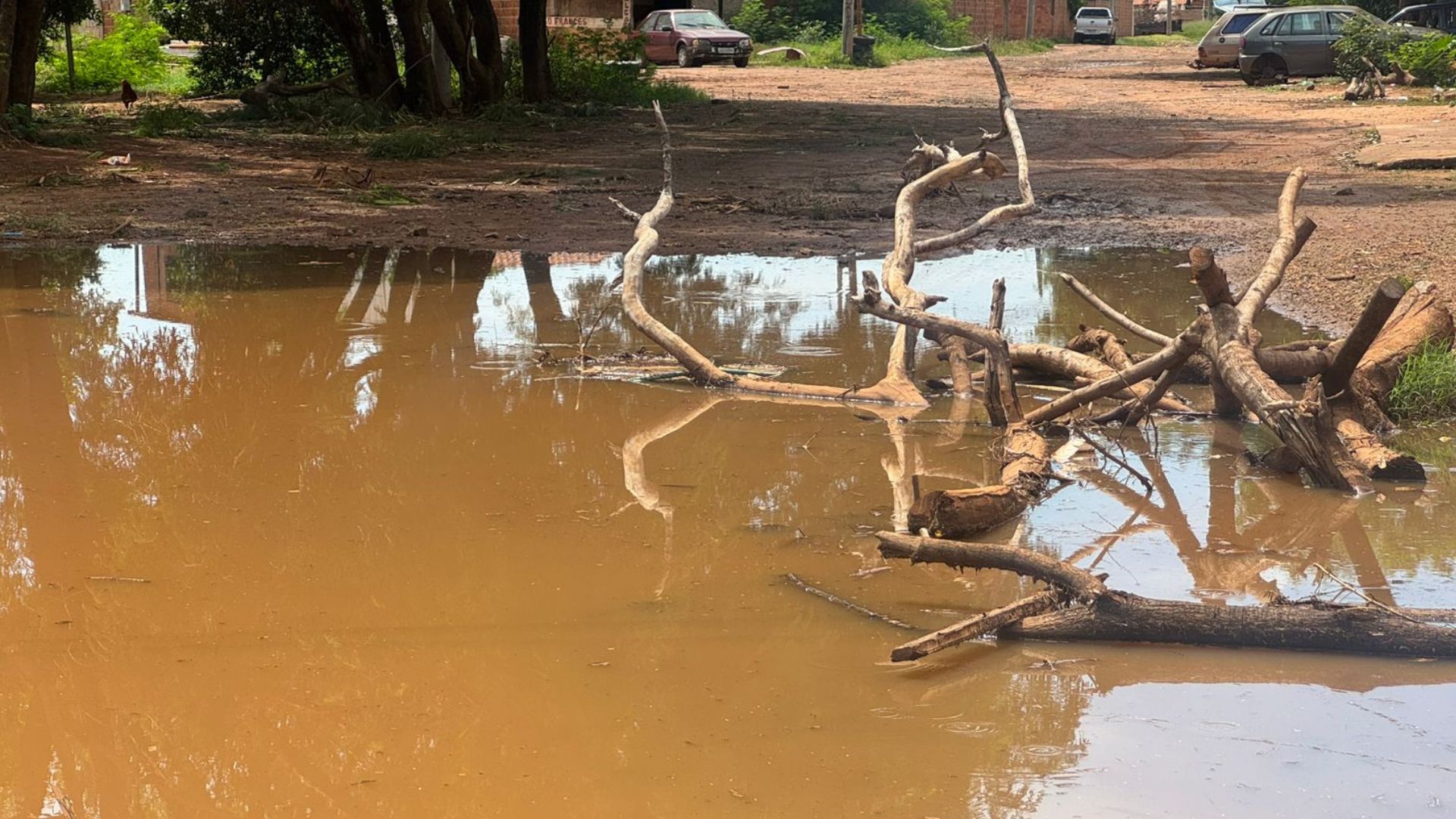 Com água até os joelhos, moradores denunciam rua que virou 'lagoa' em ...